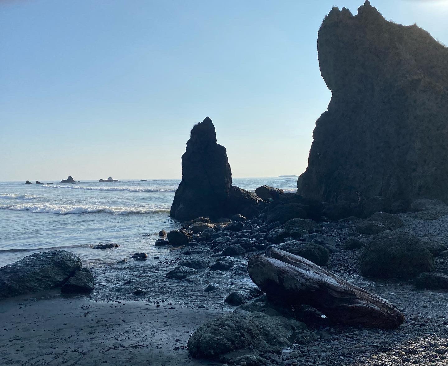 About Me – Ryan Warnick Phd.