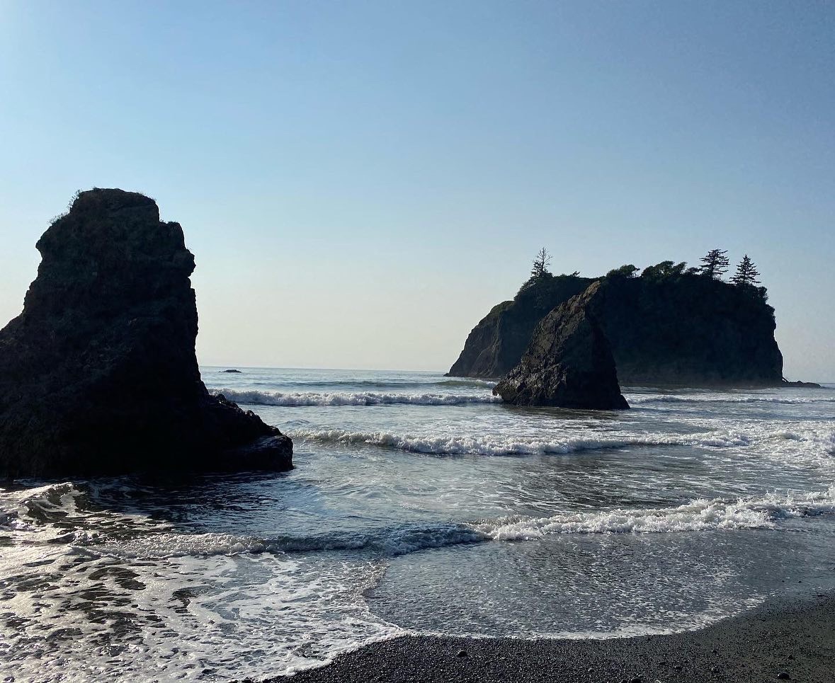 About Me – Ryan Warnick Phd.