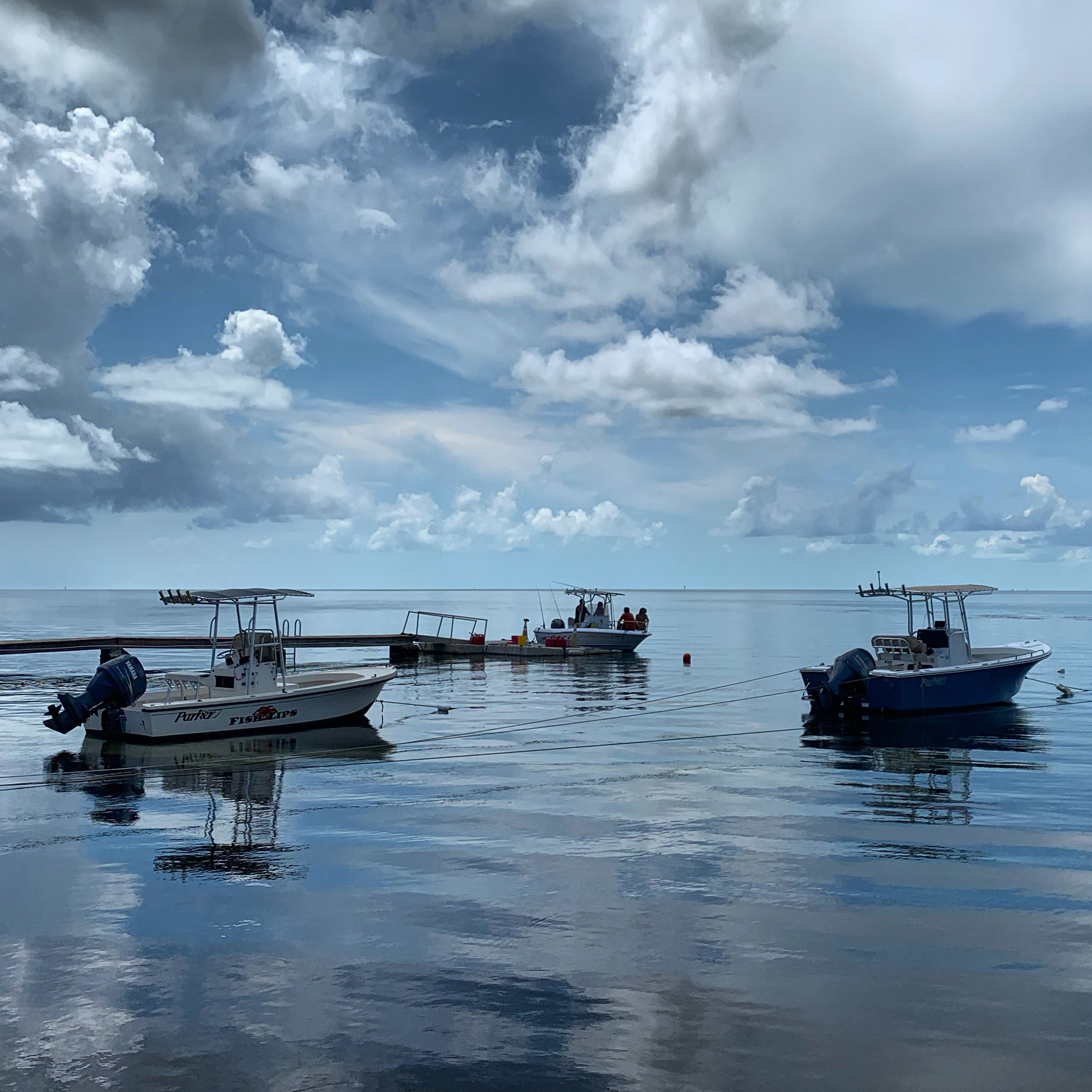 About Me – Ryan Warnick Phd.