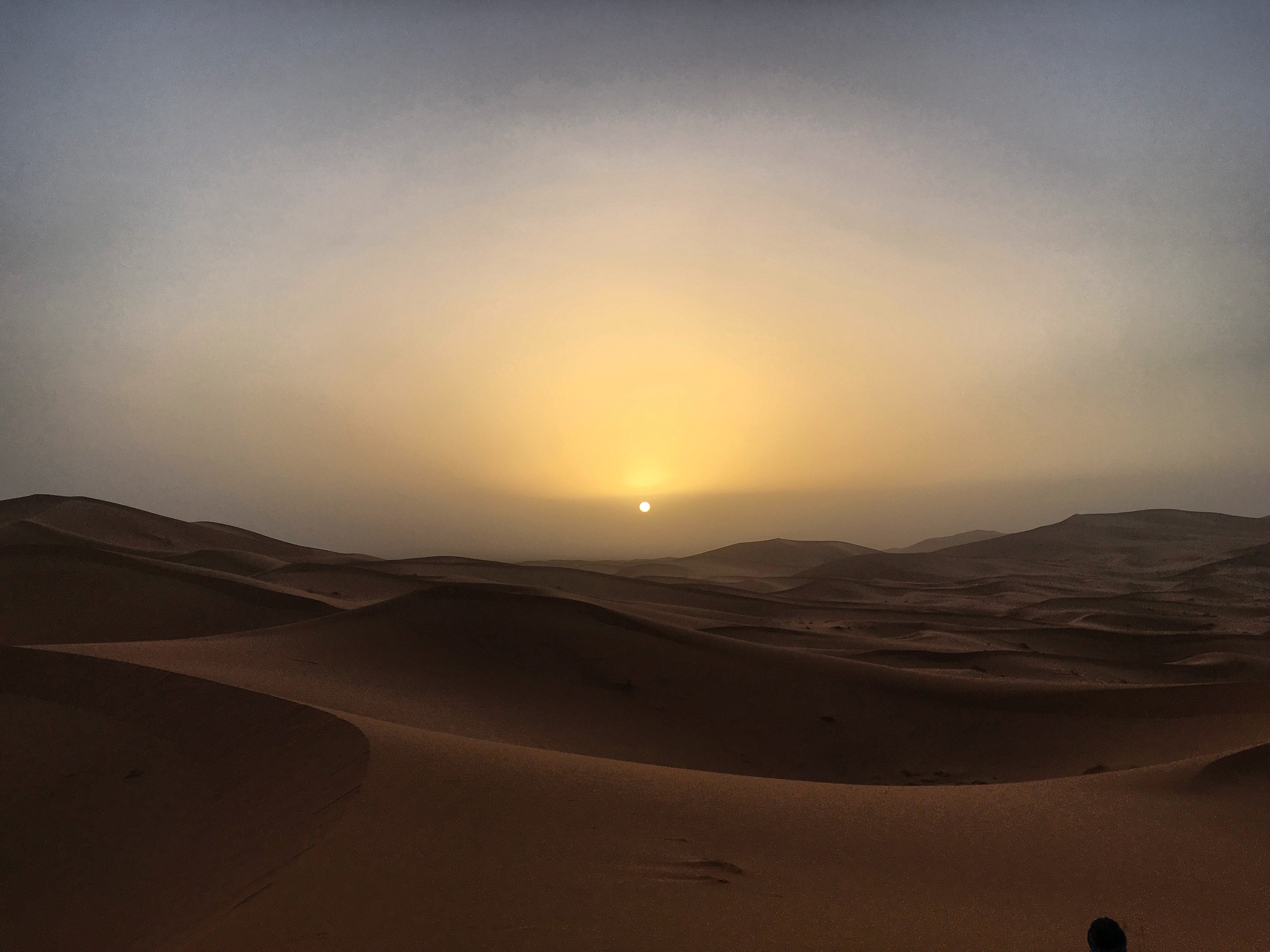 About Me – Ryan Warnick Phd.