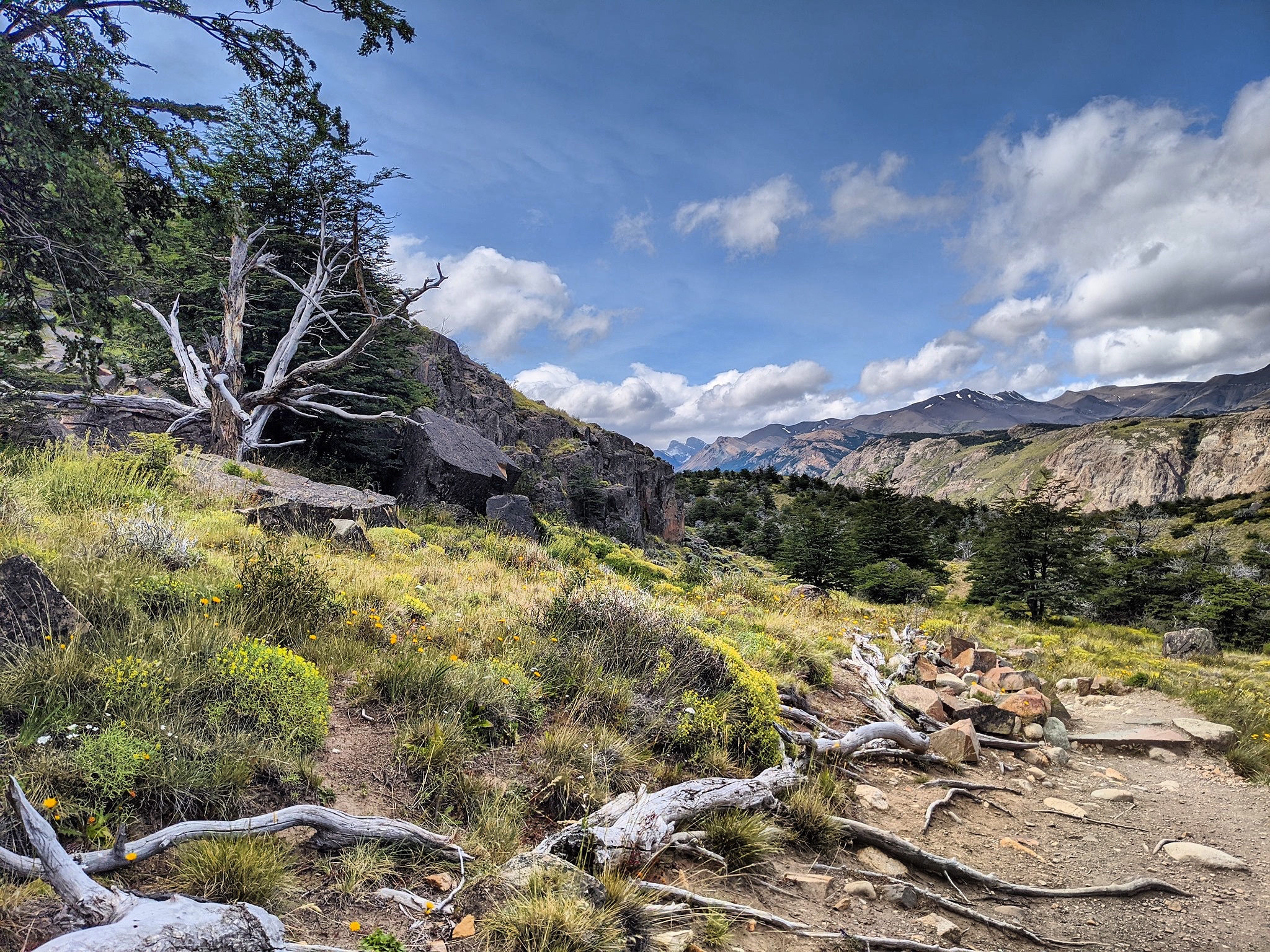 About Me – Ryan Warnick Phd.