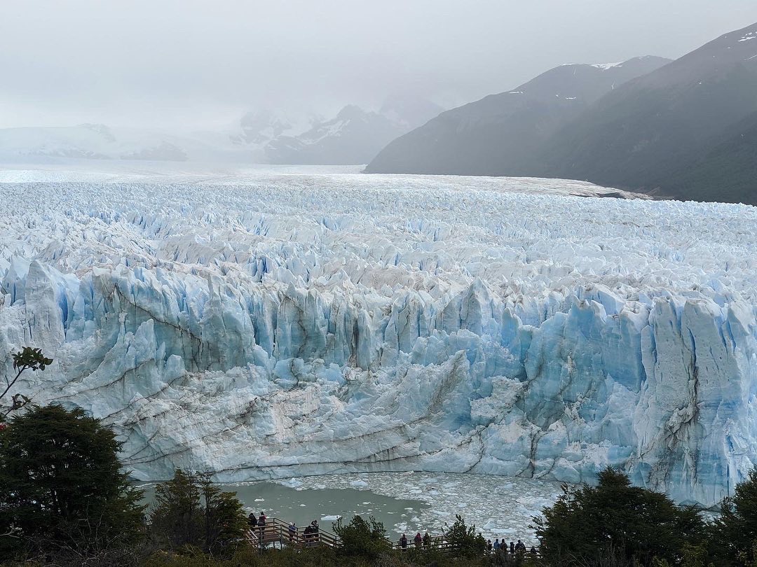 About Me – Ryan Warnick Phd.