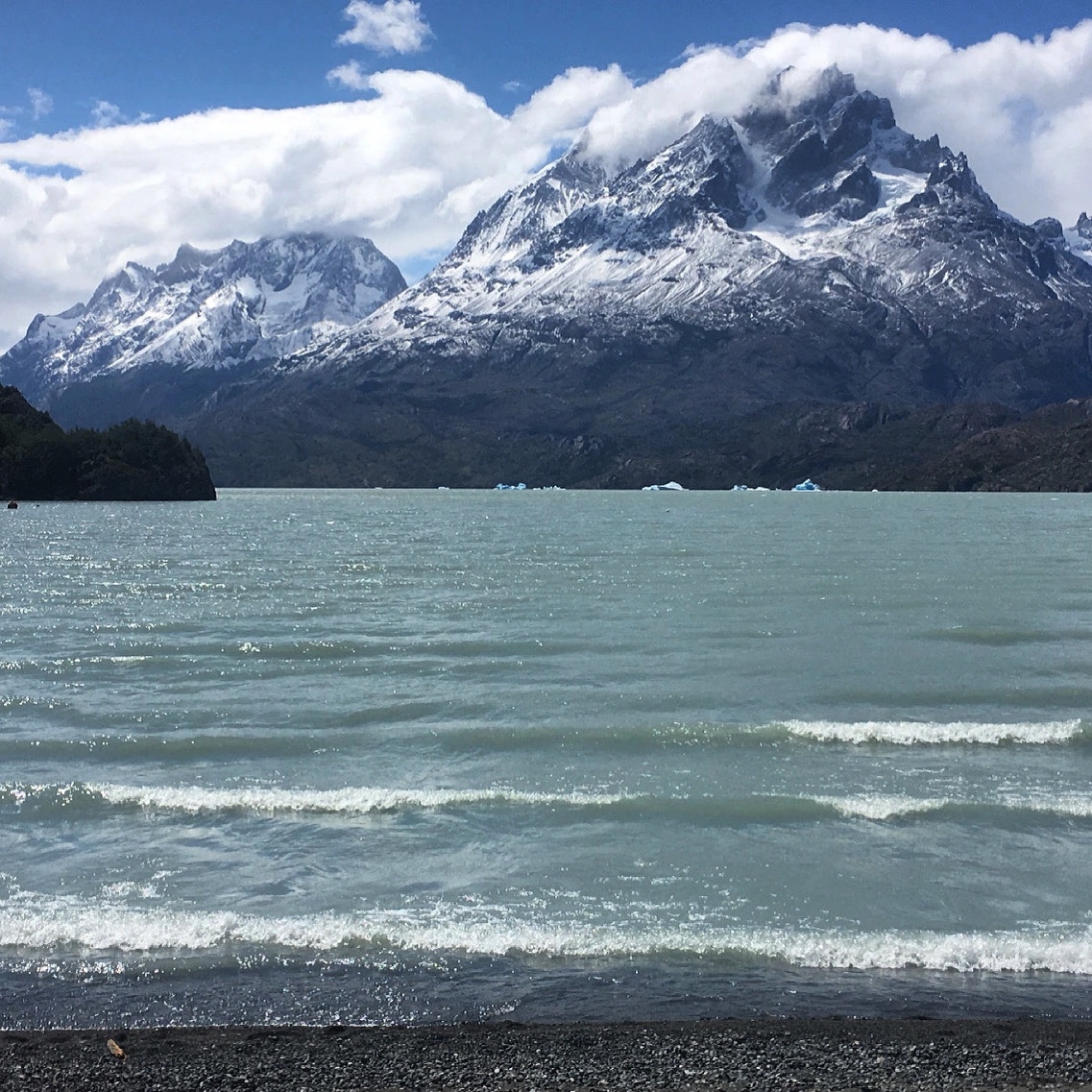 About Me – Ryan Warnick Phd.