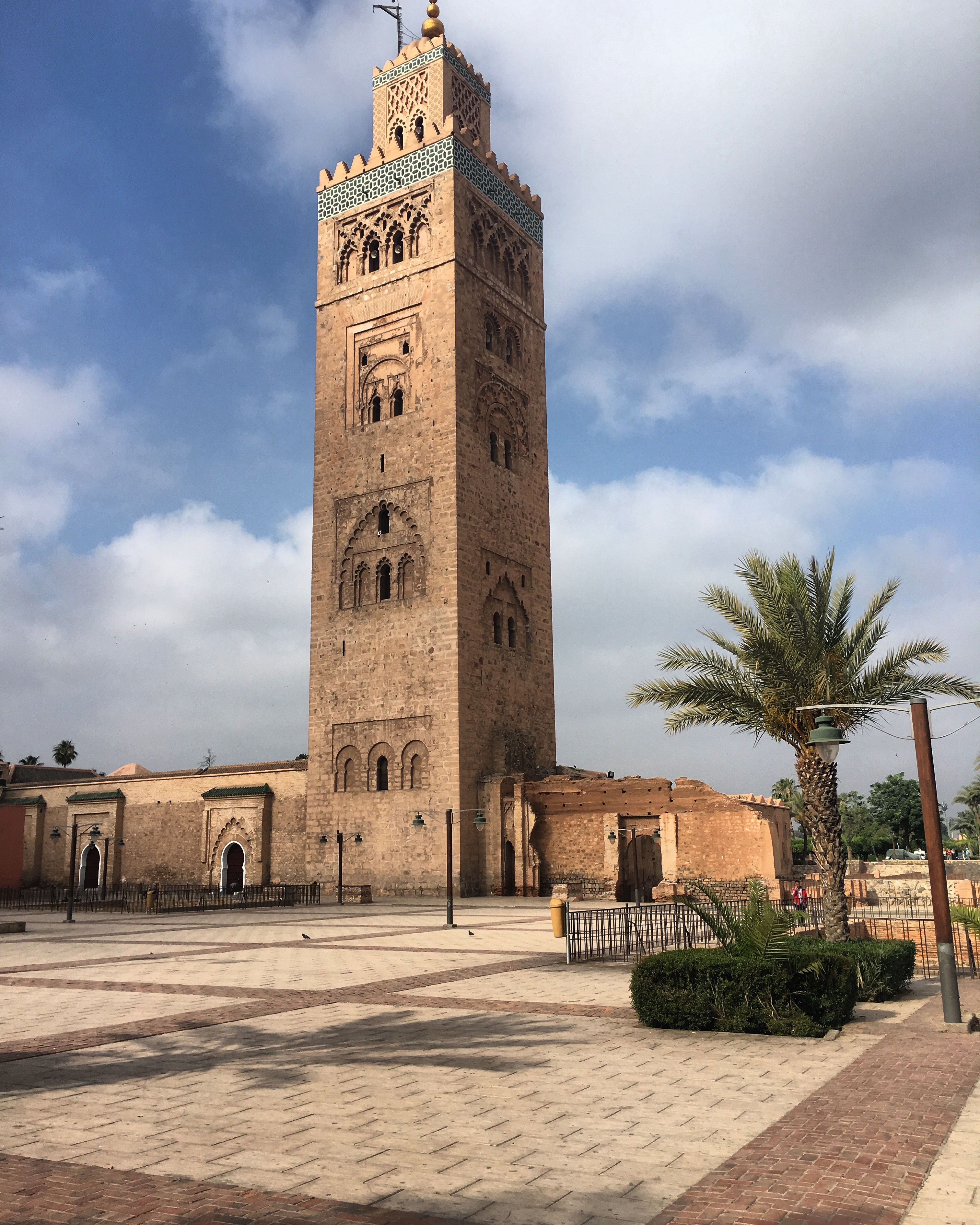 About Me – Ryan Warnick Phd.