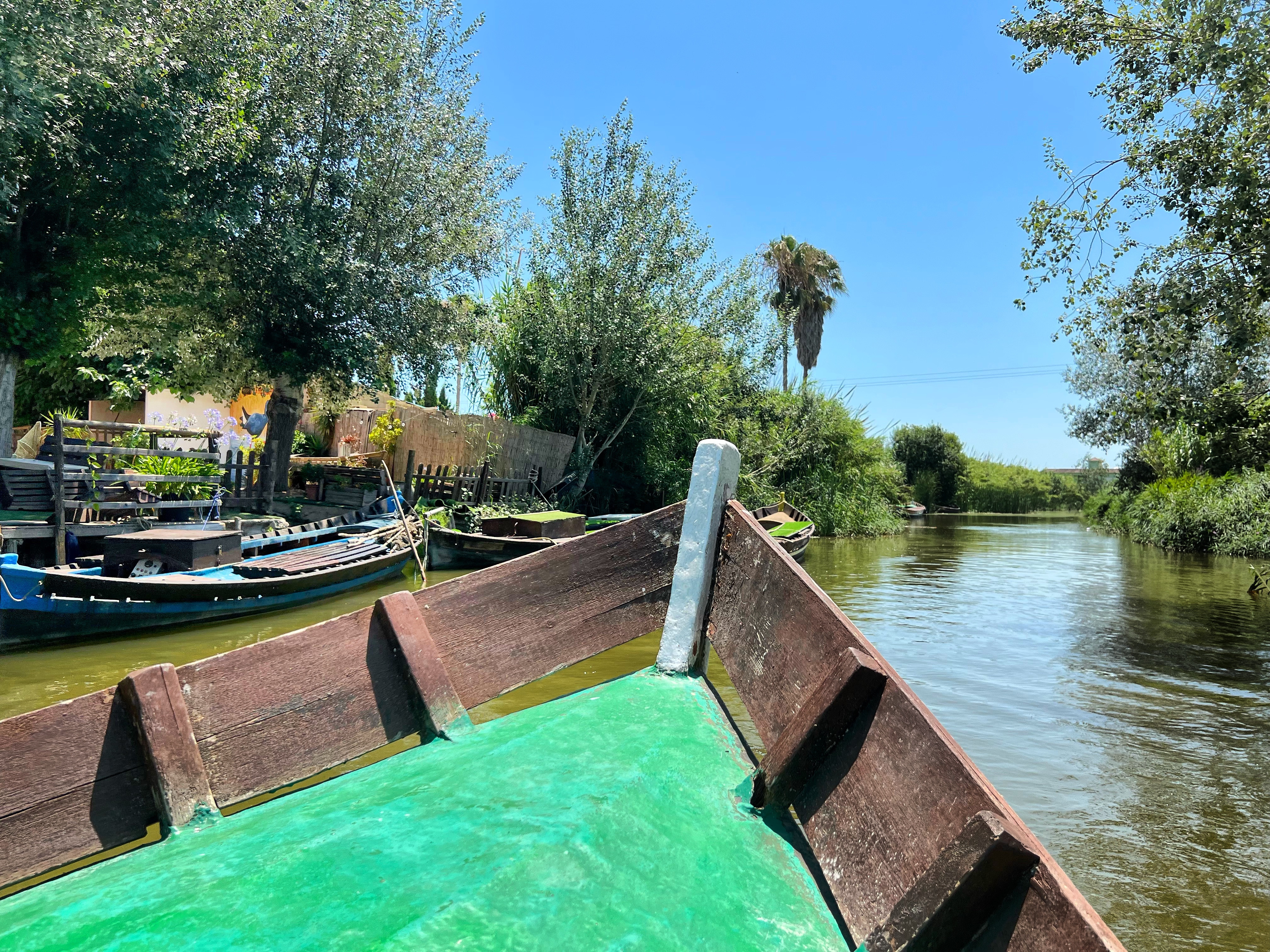 About Me – Ryan Warnick Phd.