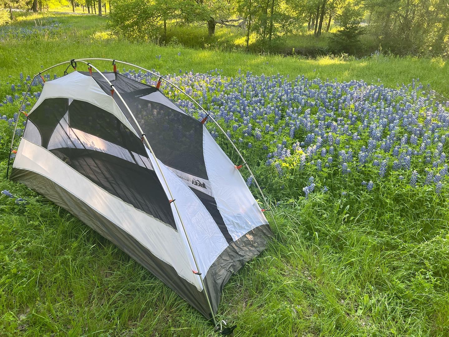 About Me – Ryan Warnick Phd.